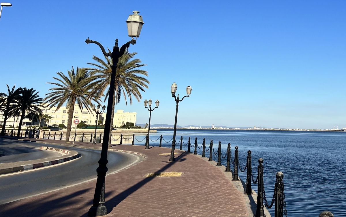 Teaching a model how to count with Logistic regression | Personal blog